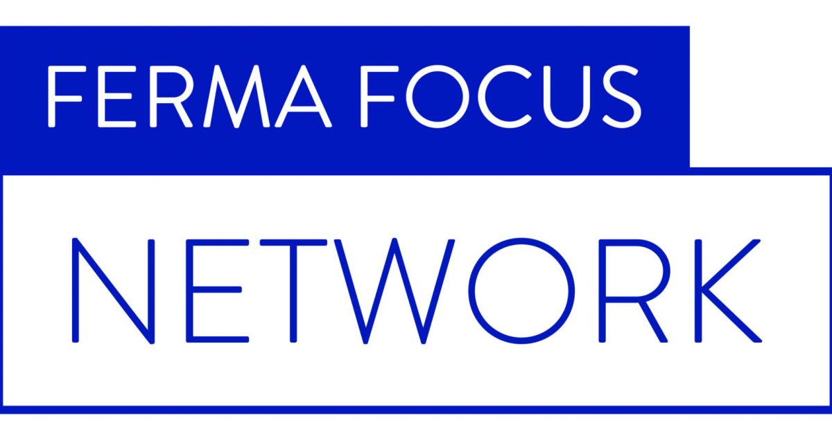 Ferma Logo Fashola Condemns Move To Scrap FERMA | Business Post